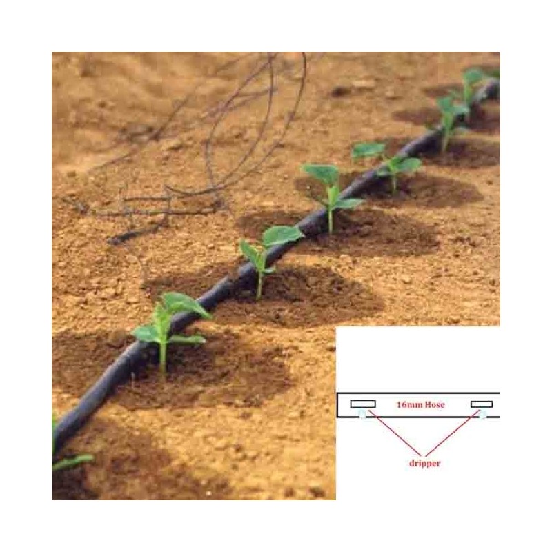 16 mm drip irrigation fitting, 2.800 meters, 8 mil caliber. Drippers of ...