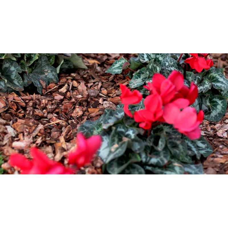 Decorative Pine Bark Substrate 15 Kg-70 L, for plants and peat, 25-45mm