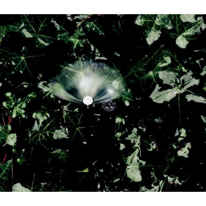 500 x 180º irrigation microdiffuser. Radio Range 1 to 1.5 Meters