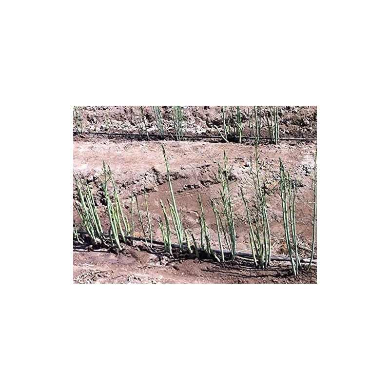 Irrigation pipe 16 mm 2.5 bar 400m agricultural polyethylene, black