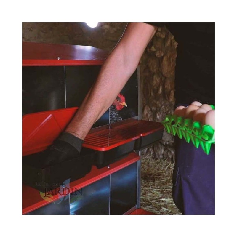 Galline ovaiole 3 reparti 82x47x77 cm con gambe