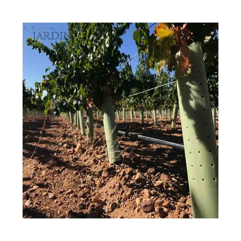 Pack of 5 Tree protection tubes 60 cm | Protect your plants